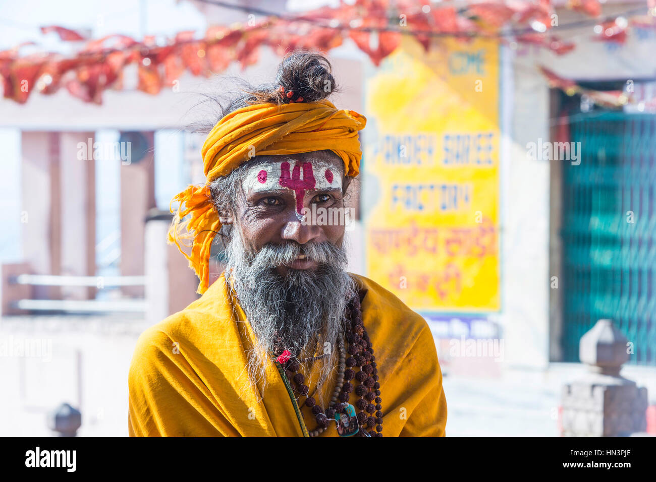Sadhu, holy man, portrait, Varanasi, Uttar Pradesh, India Stock Photo ...