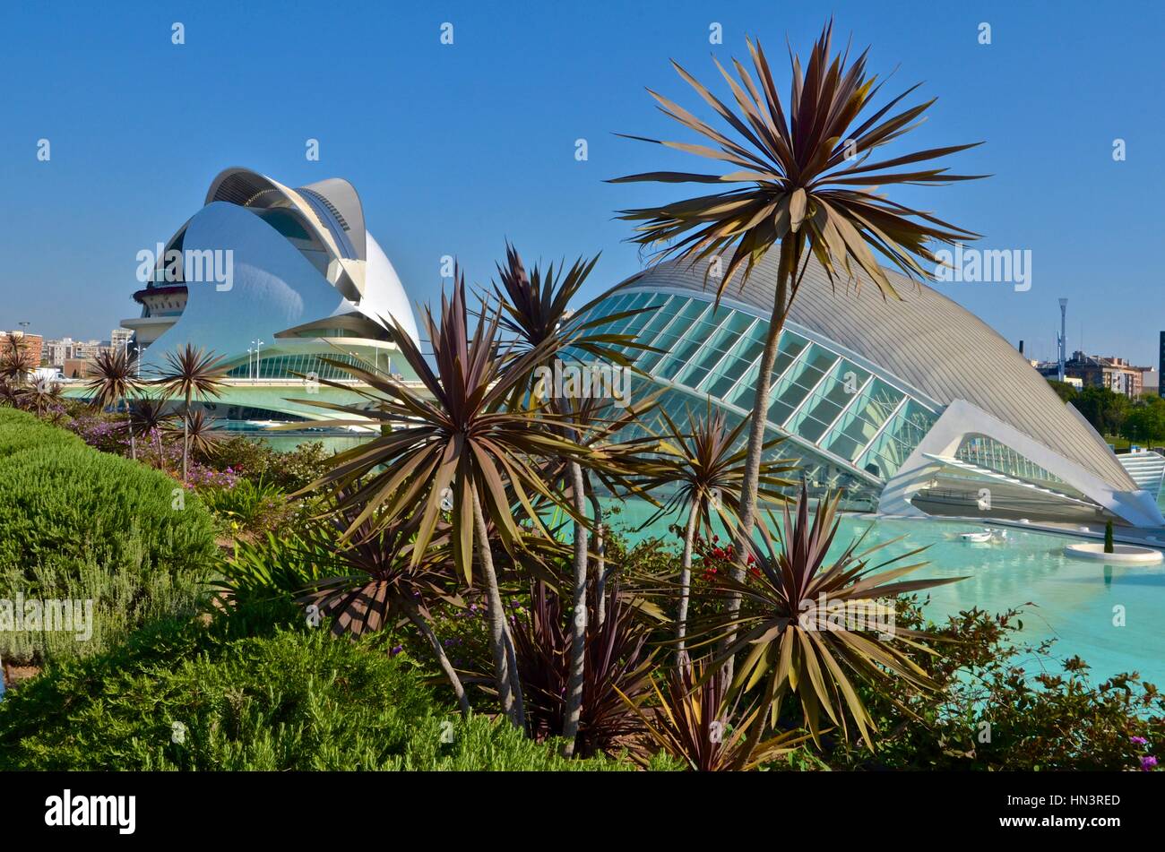 City of Arts and Sciences modernist buildings in Valencia, Spain Stock ...