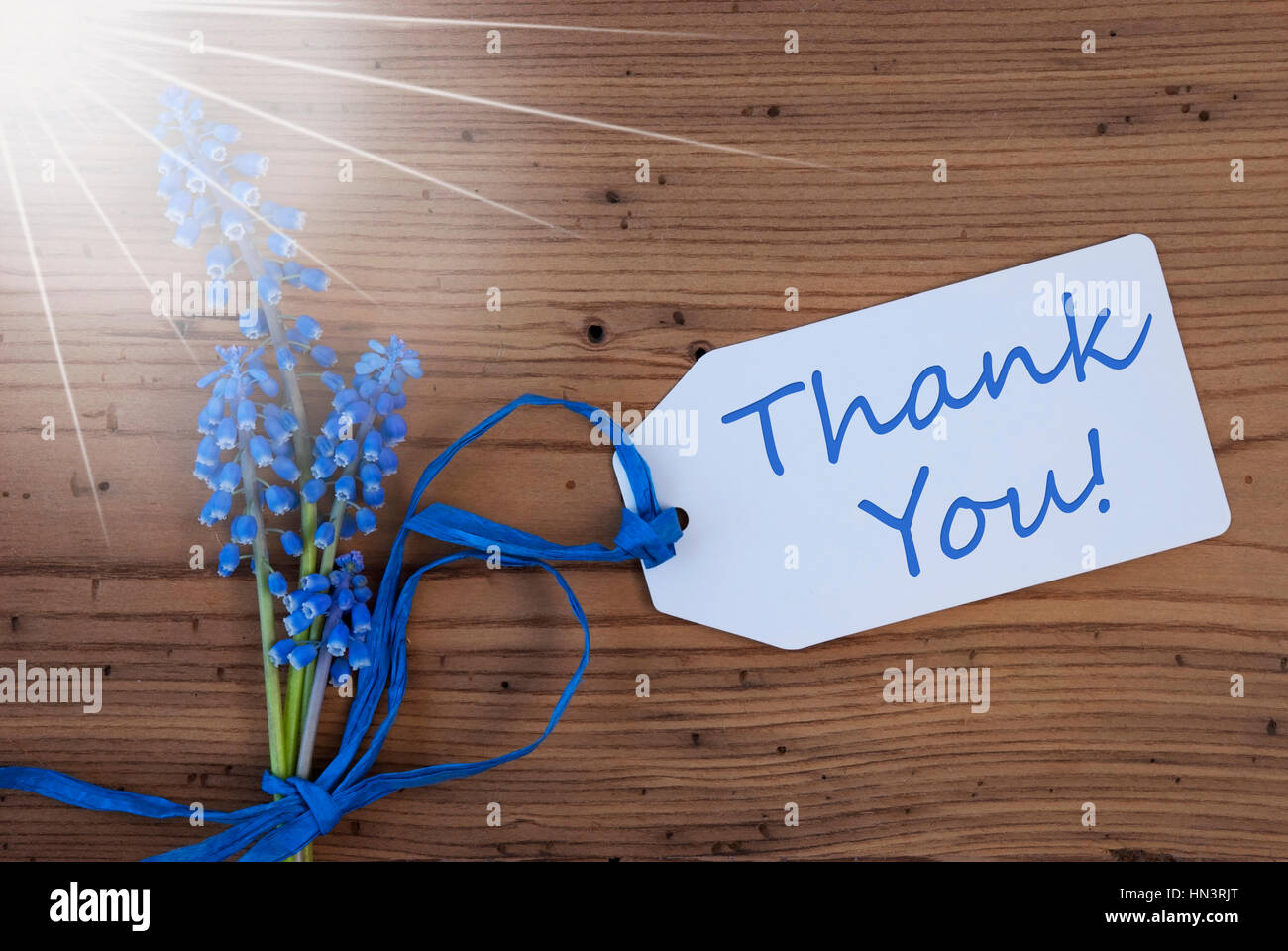 Sunny Srping Grape Hyacinth, Label, Thank You Stock Photo - Alamy