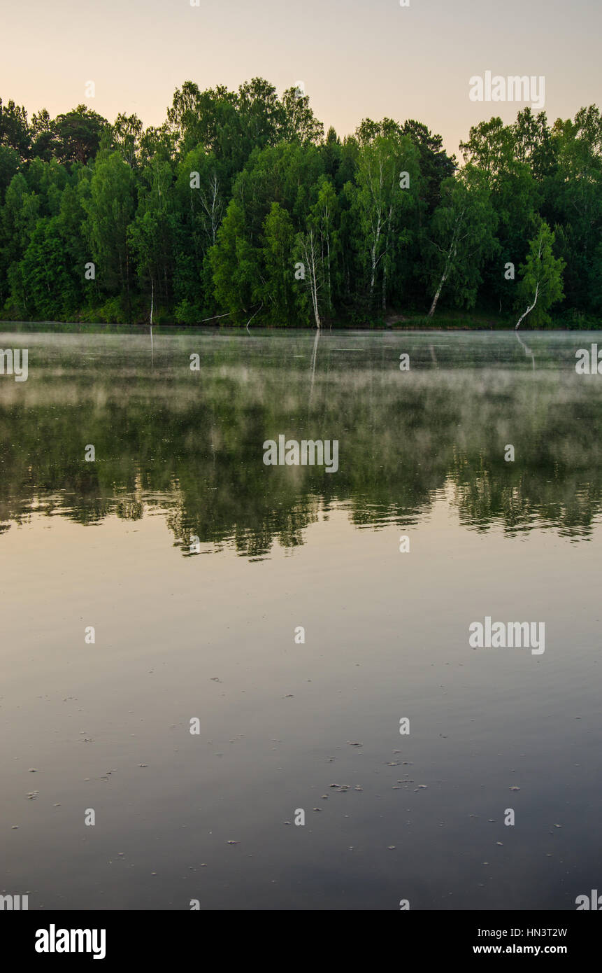 fog over the water . morning fog. thick morning mist over the lake ...