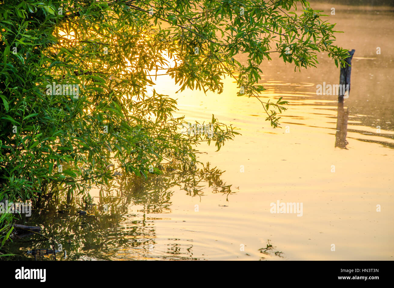 fog over the water . morning fog. thick morning mist over the lake ...