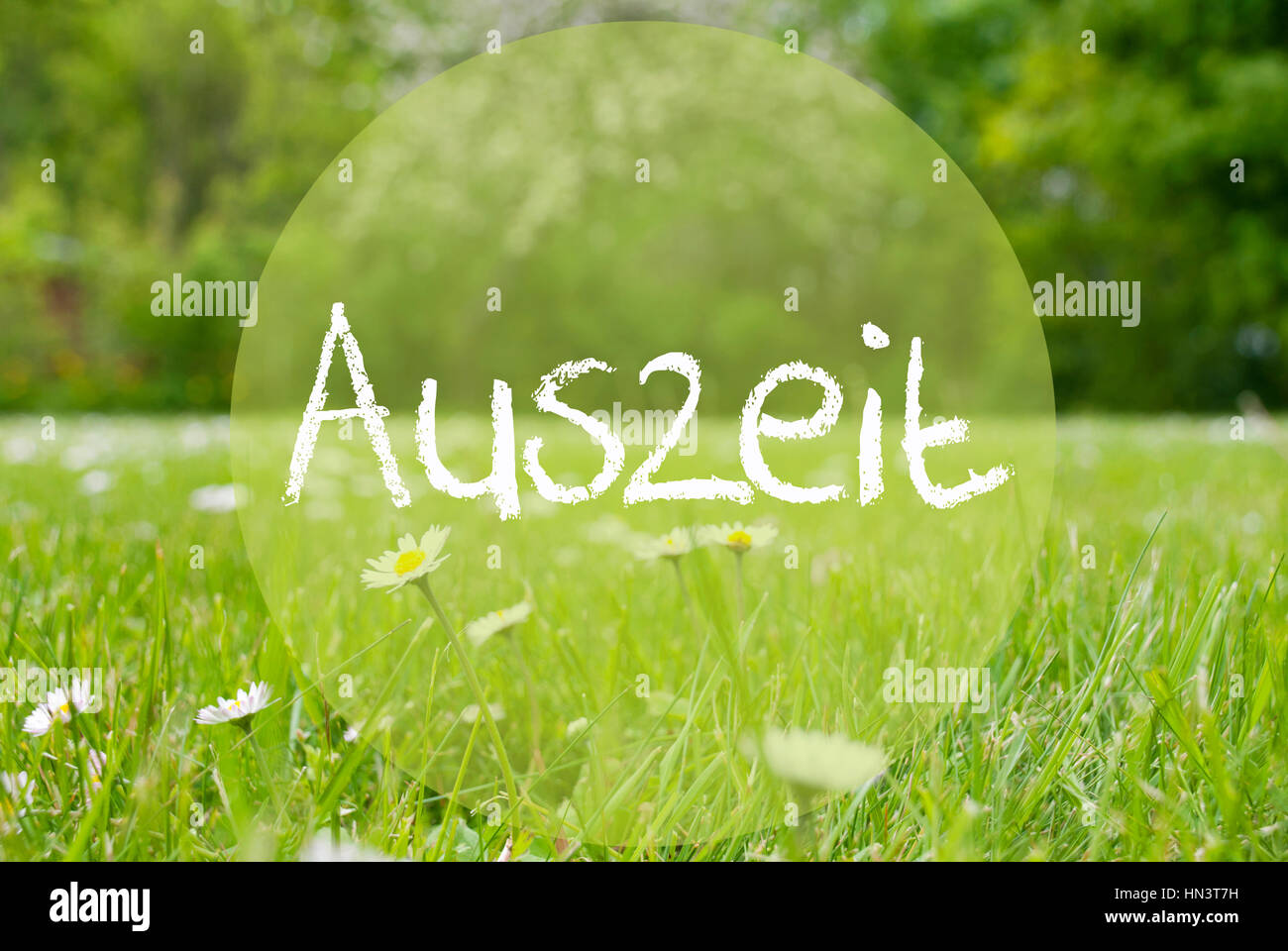 Gras Meadow, Daisy Flowers, Auszeit Means Downtime Stock Photo - Alamy