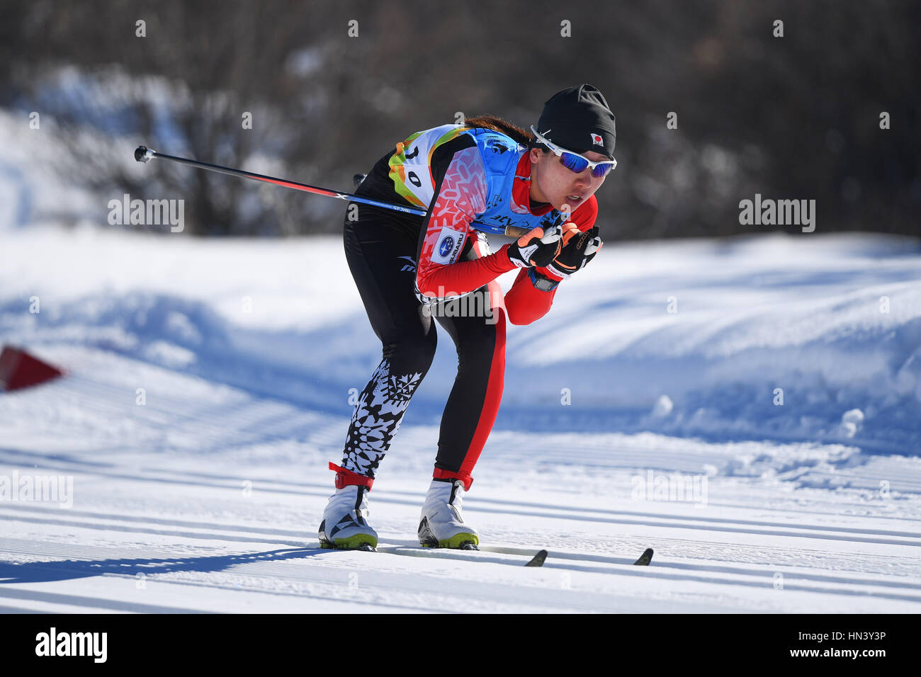 Alatau Cross Country Skiing Stadium, Talgar District, Kazakhstan. 7th ...