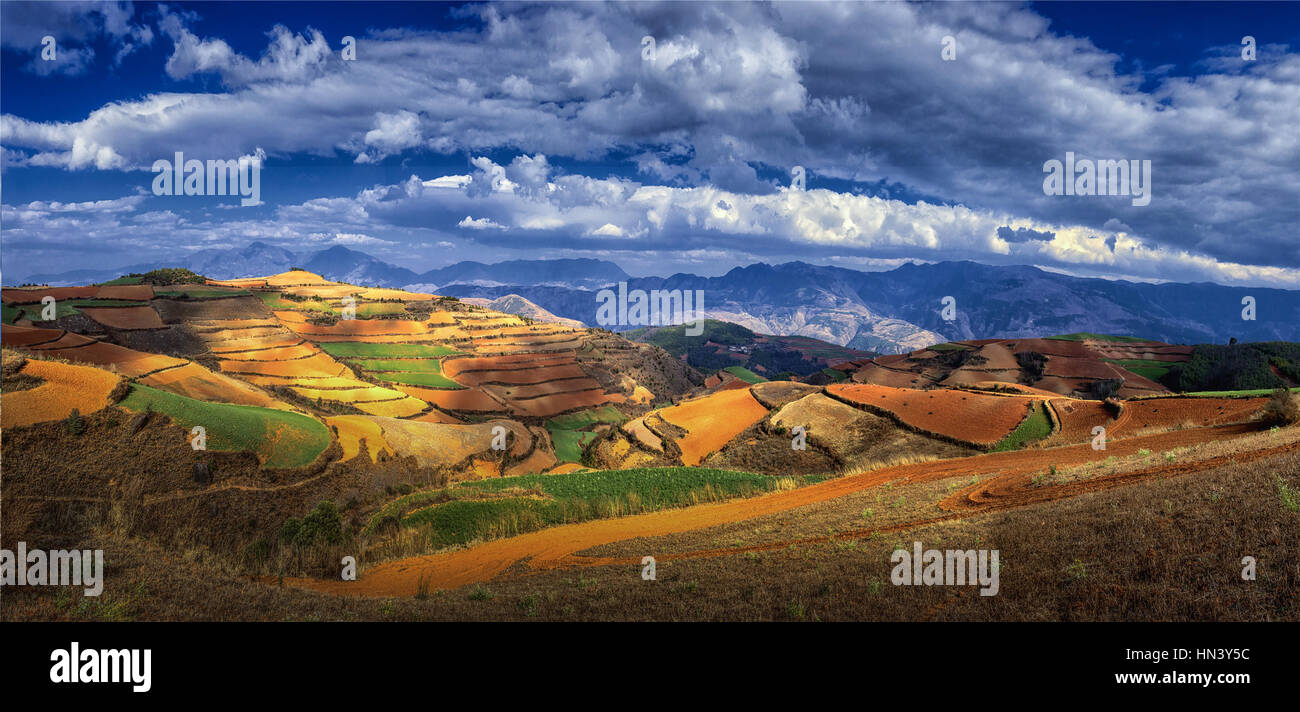 Kunming, Kunming, China. 31st Jan, 2017. Kunming, CHINA-January 31 2017 ...