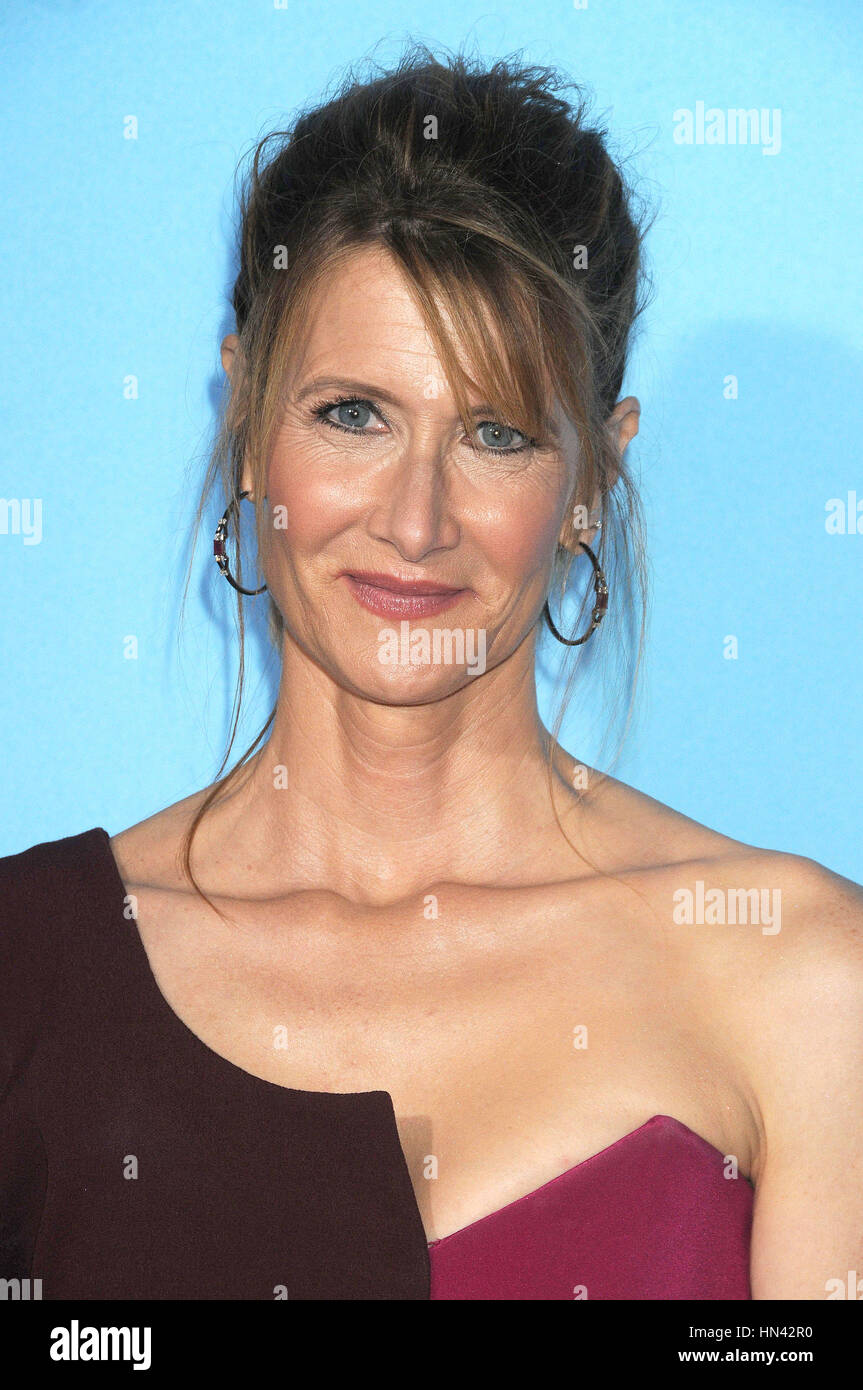 Los Angeles, California, USA. 7th Feb, 2017. Actress LAURA DERN at the ...
