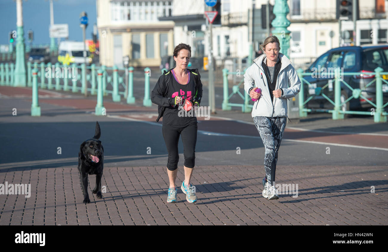 Taking dog for wa hi-res stock photography and images - Alamy