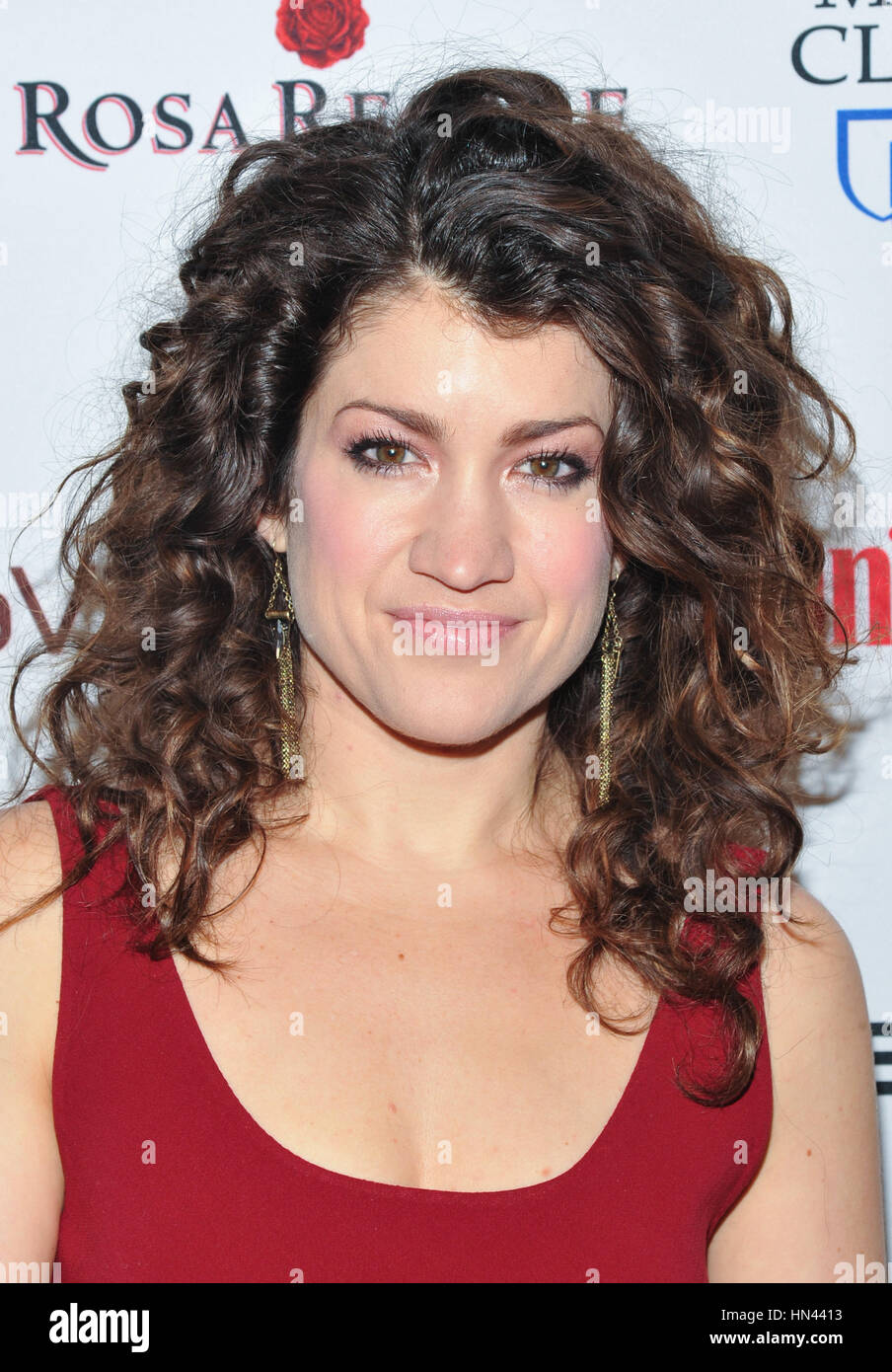 New York, USA. 7th February, 2017. Sarah Stiles attends the 14th annual ...