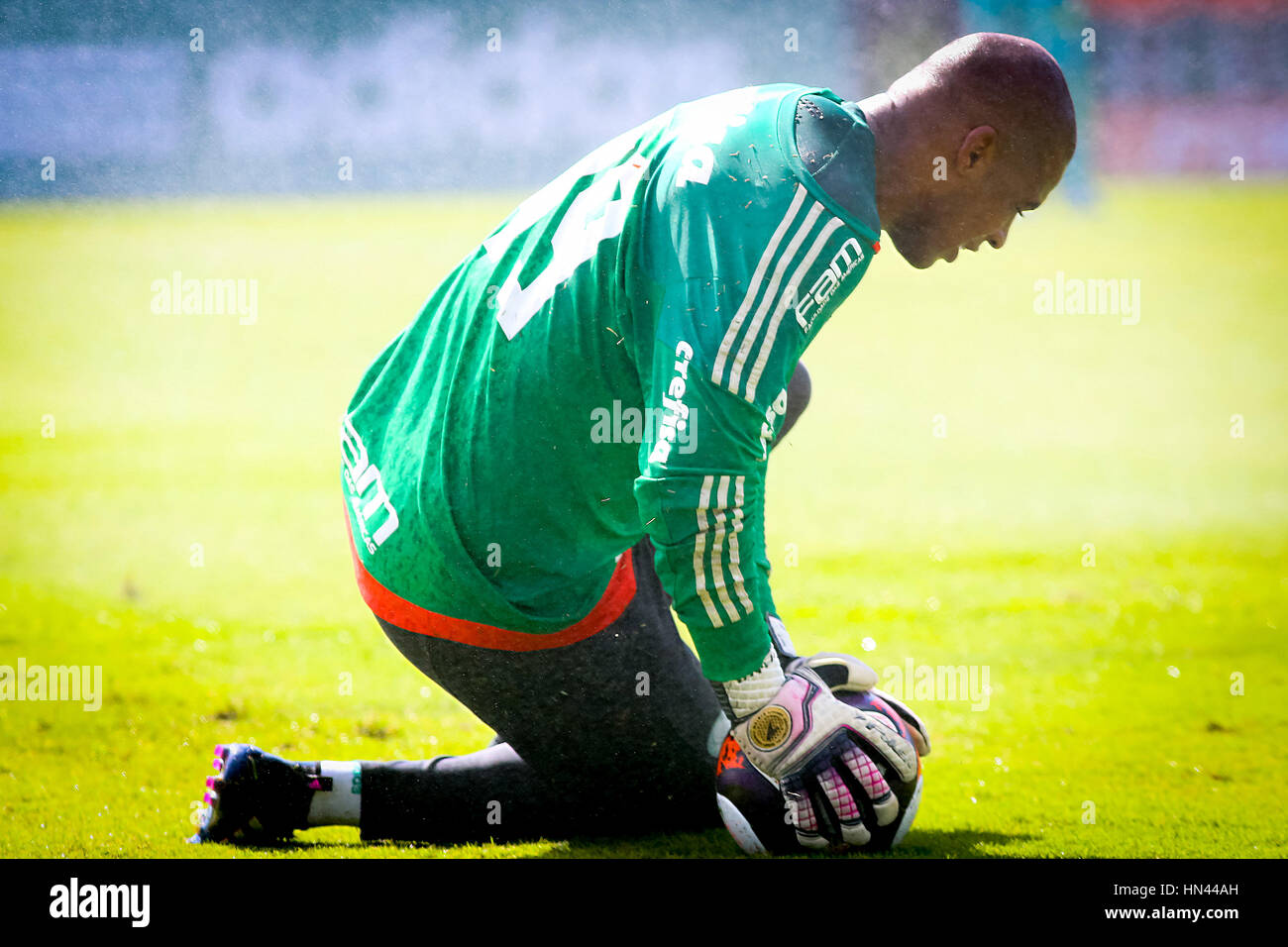 Sao Paulo, Brazil. 8th Feb, 2017. Palmeiras football team goalkeepers ...