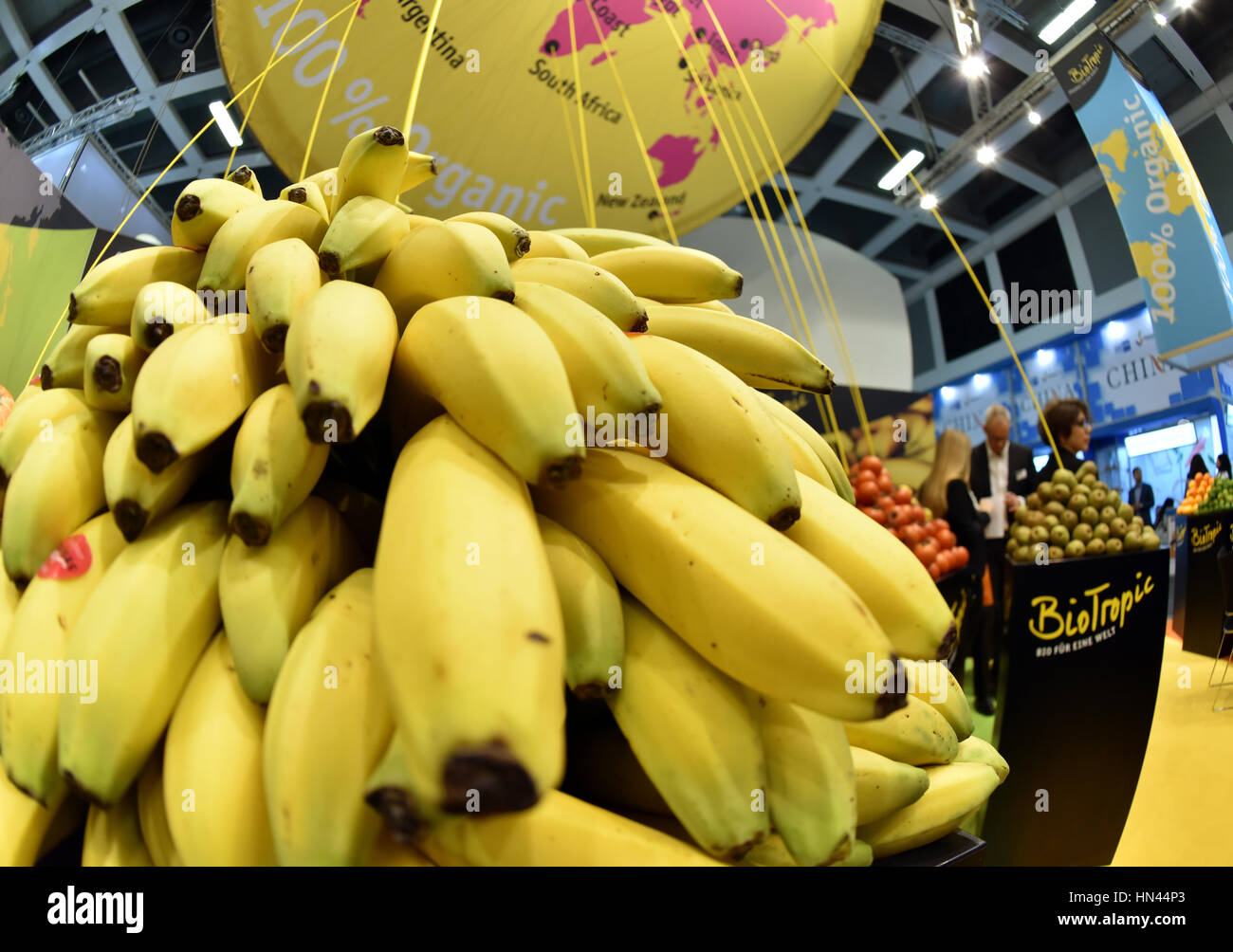 Berlin, Germany. 8th February, 2017. Organic bananas can be seen at a ...