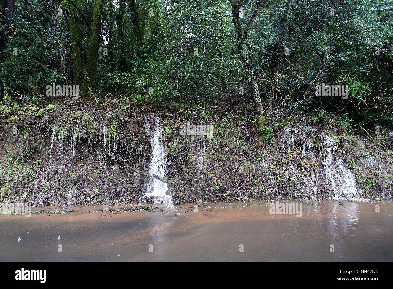 Napa, CA, USA. 7th Feb, 2017. Hillside runoff flows onto Redwood Road ...