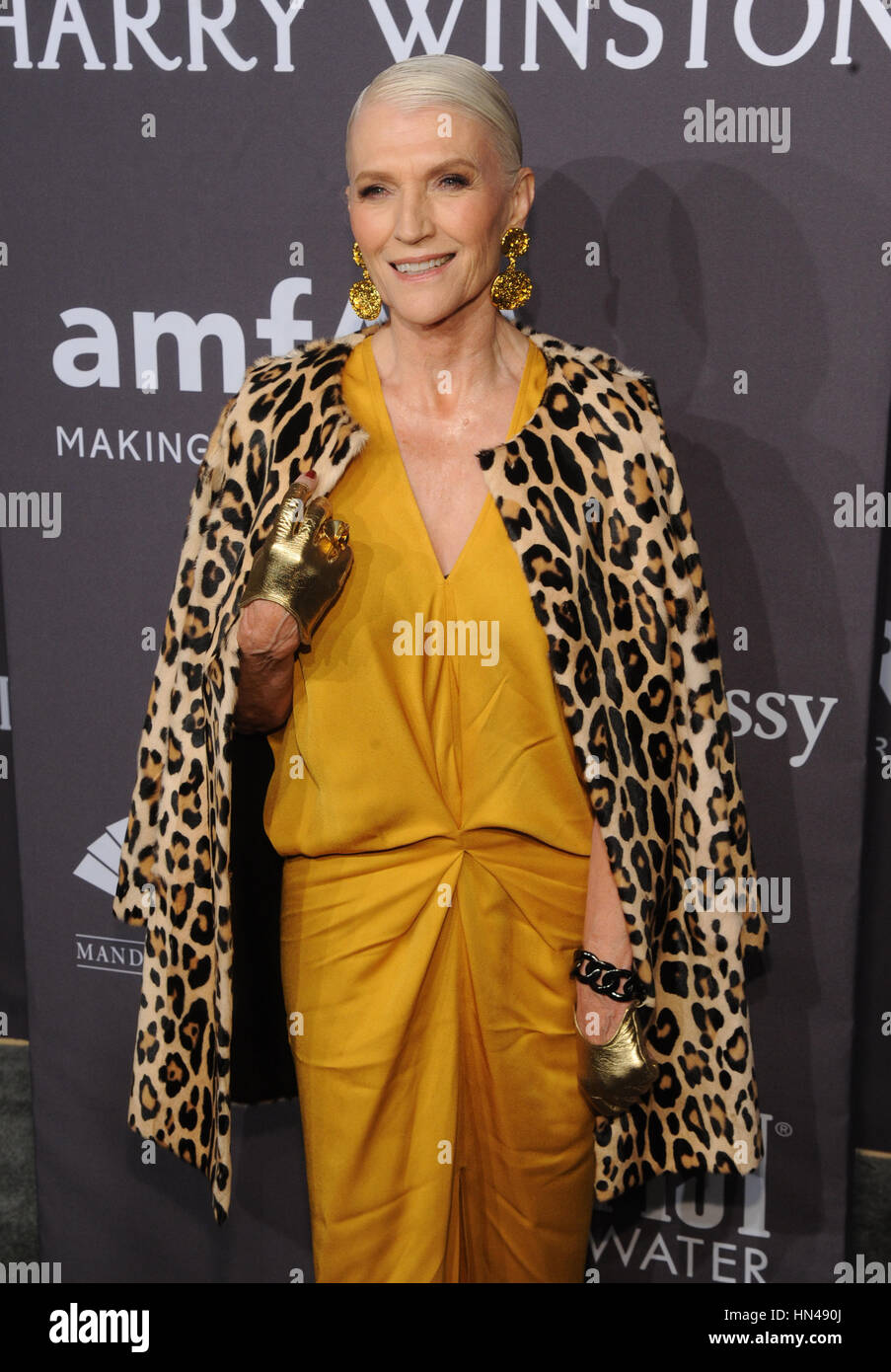 New York, USA. 8th February, 2017. Maye Musk at amfAR New York Fashion ...