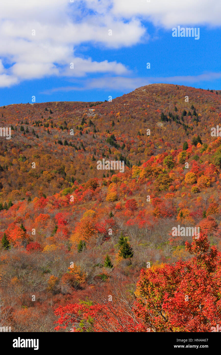 Graveyard Fields, Blue Ridge Parkway, North Carolina, USA Stock Photo ...