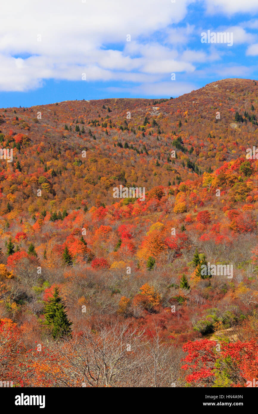 Graveyard Fields, Blue Ridge Parkway, North Carolina, USA Stock Photo ...