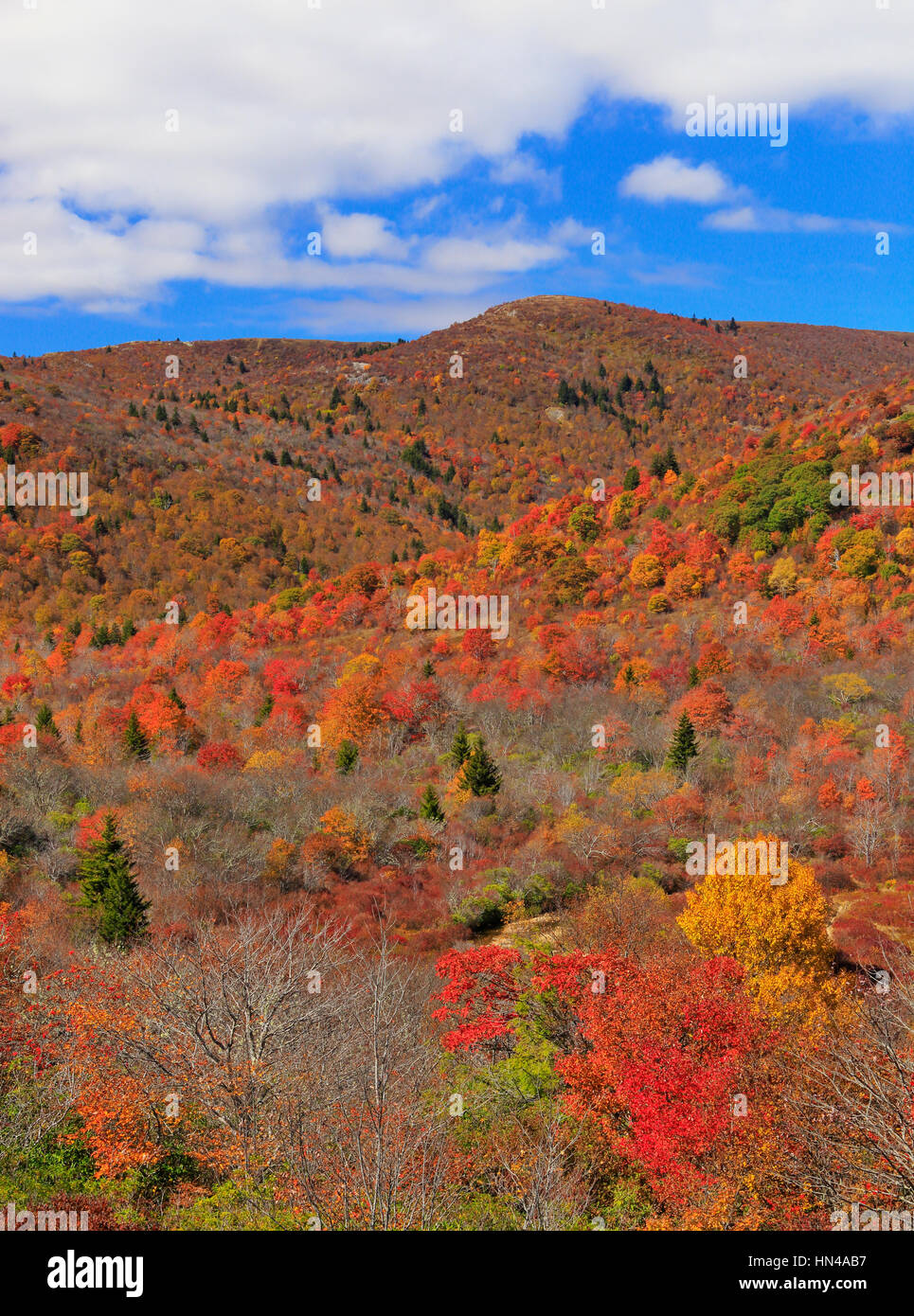Graveyard Fields, Blue Ridge Parkway, North Carolina, USA Stock Photo ...