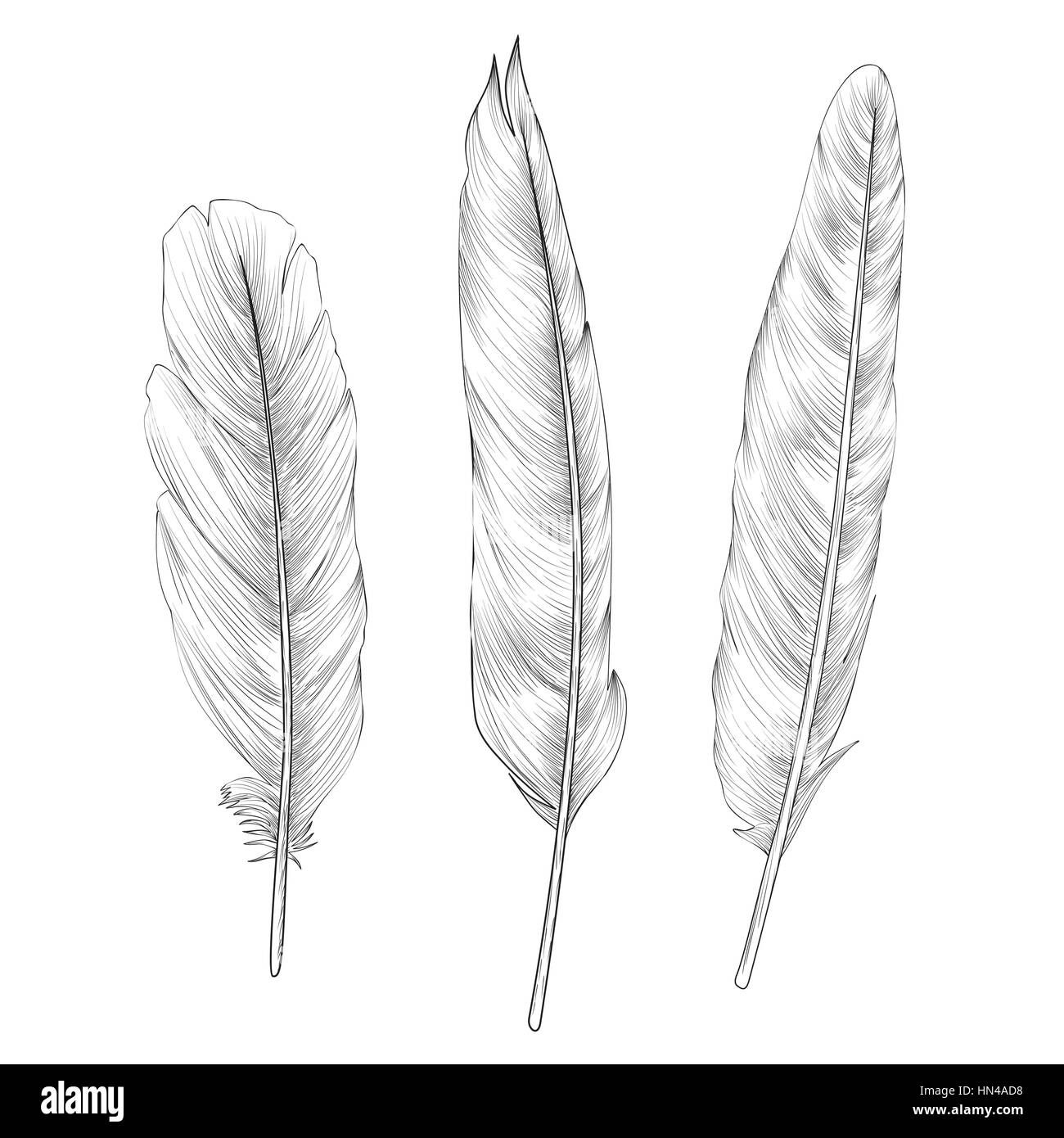 Feather set. Doodle sketch feather collection Stock Vector Image & Art ...