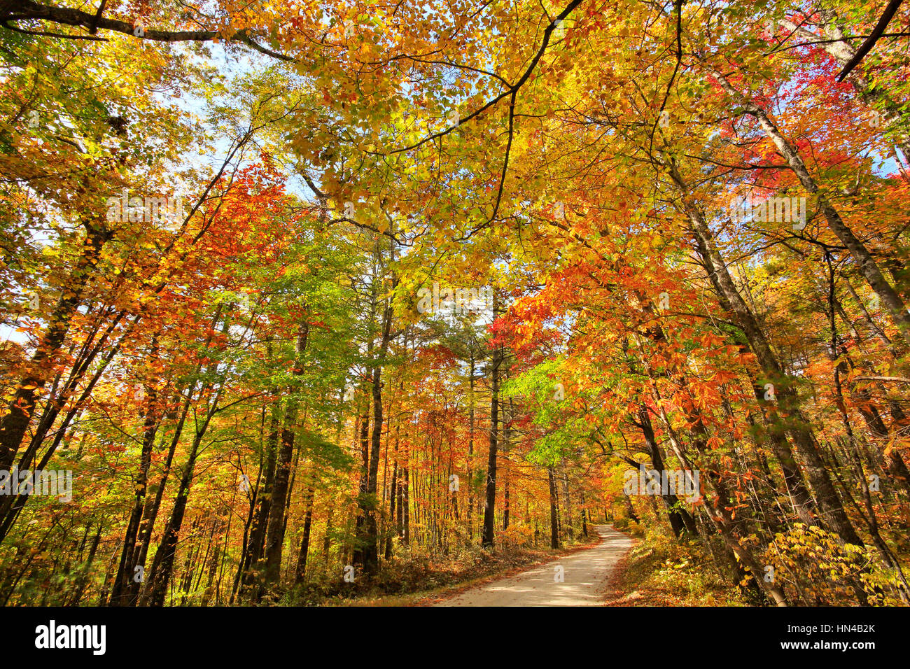 Old NC 105, Linville Gorge Area, Blue Ridge Parkway, Linville, North ...