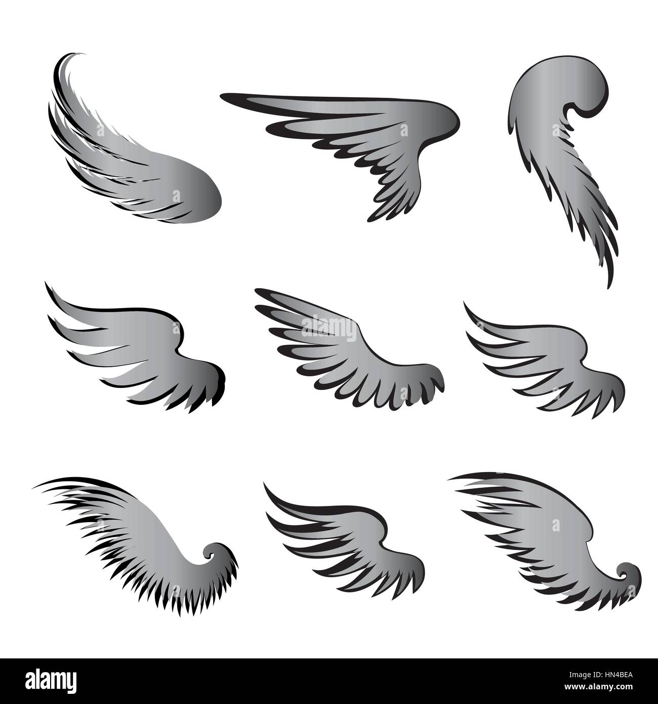 Wings zoology Stock Vector Images - Alamy