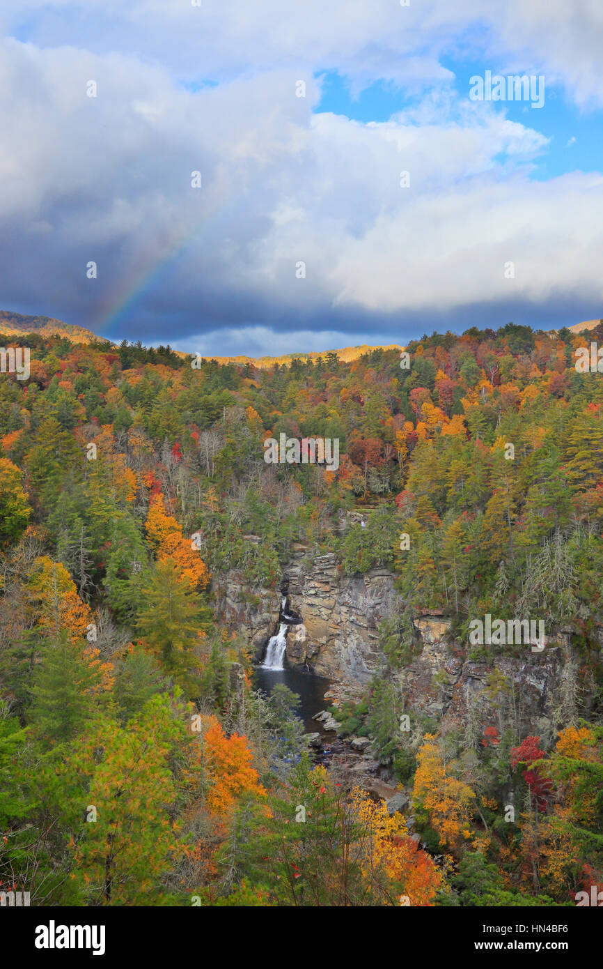Linville gorge wilderness area hi-res stock photography and images - Alamy