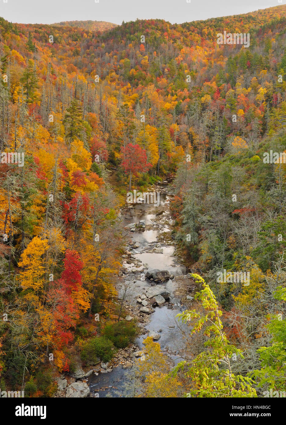 Linville Gorge, Blue Ridge Parkway, Linville, North Carolina, USA Stock ...