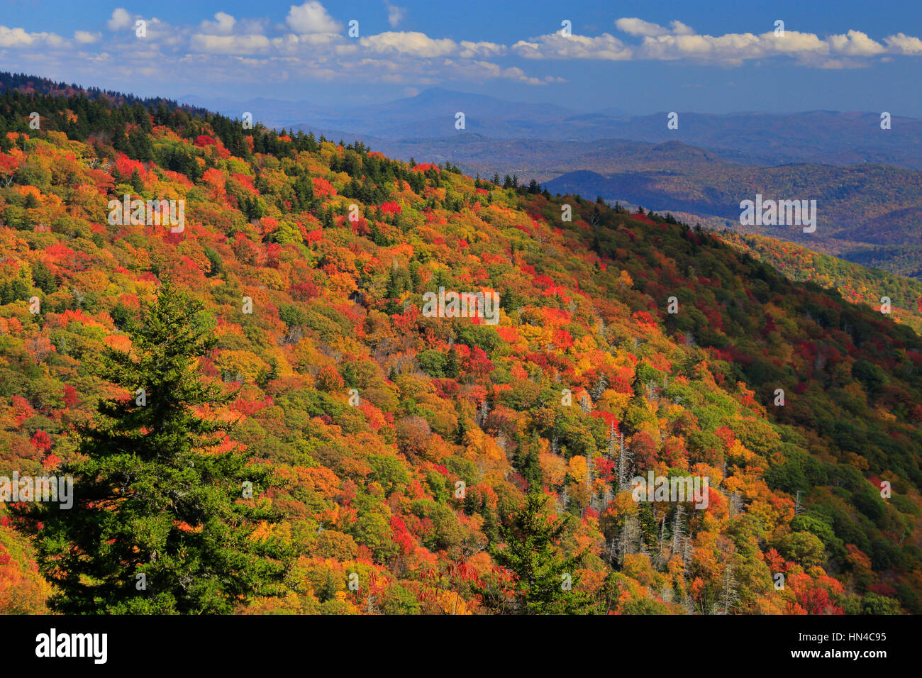 Mt. Mitchell Area, Blue Ridge Parkway, Black Mountain, North Carolina ...