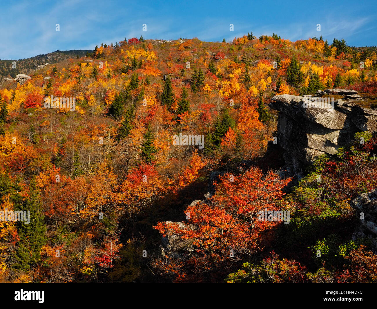 Rough Ridge, Tanawha Trail, Blue Ridge Parkway, North Carolina, USA ...