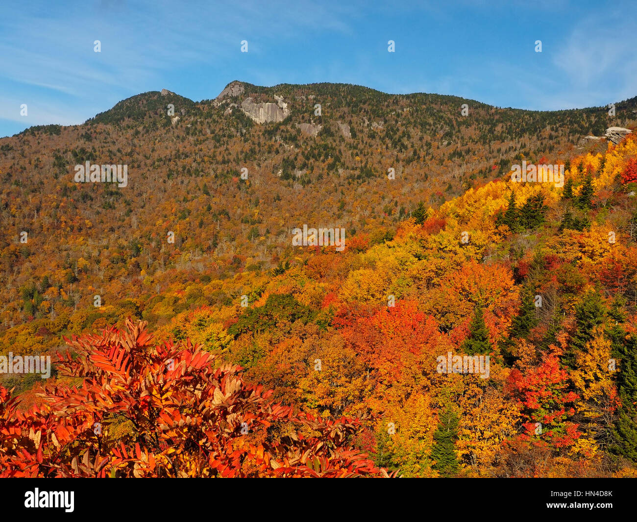 Tanawha Stock Photos & Tanawha Stock Images - Alamy