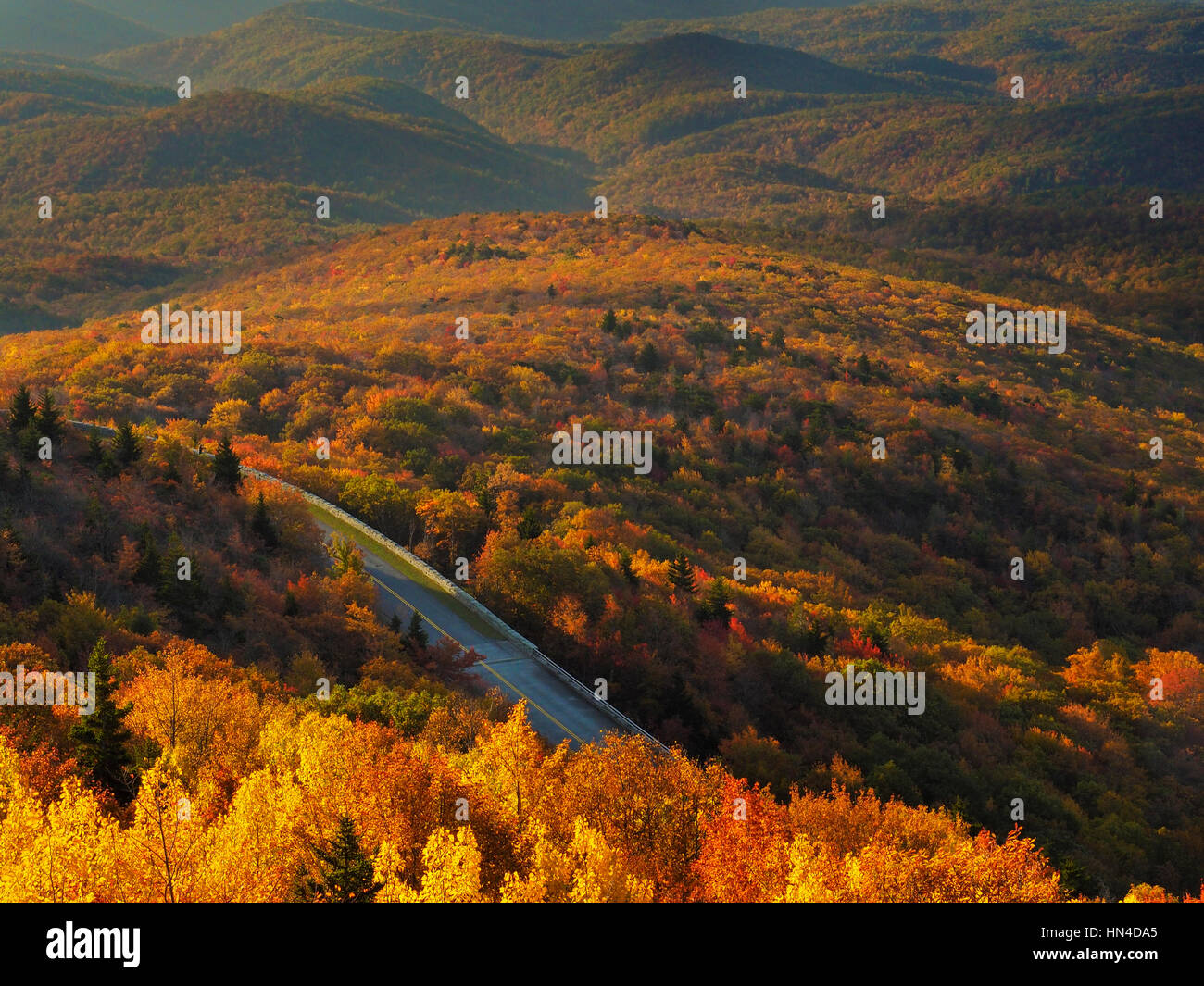 Rough Ridge, Tanawha Trail, Blue Ridge Parkway, North Carolina, USA ...