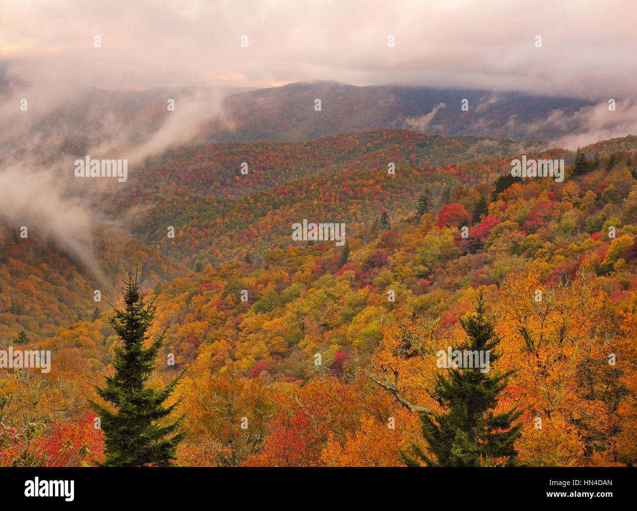 Sunrise, Saco Gap Area, Blue Ridge Parkway, Grandfather Mountain, North ...