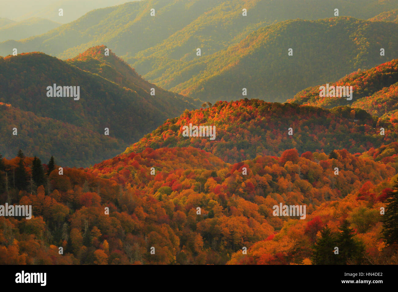 Sunset, Saco Gap Area, Blue Ridge Parkway, Grandfather Mountain, North ...