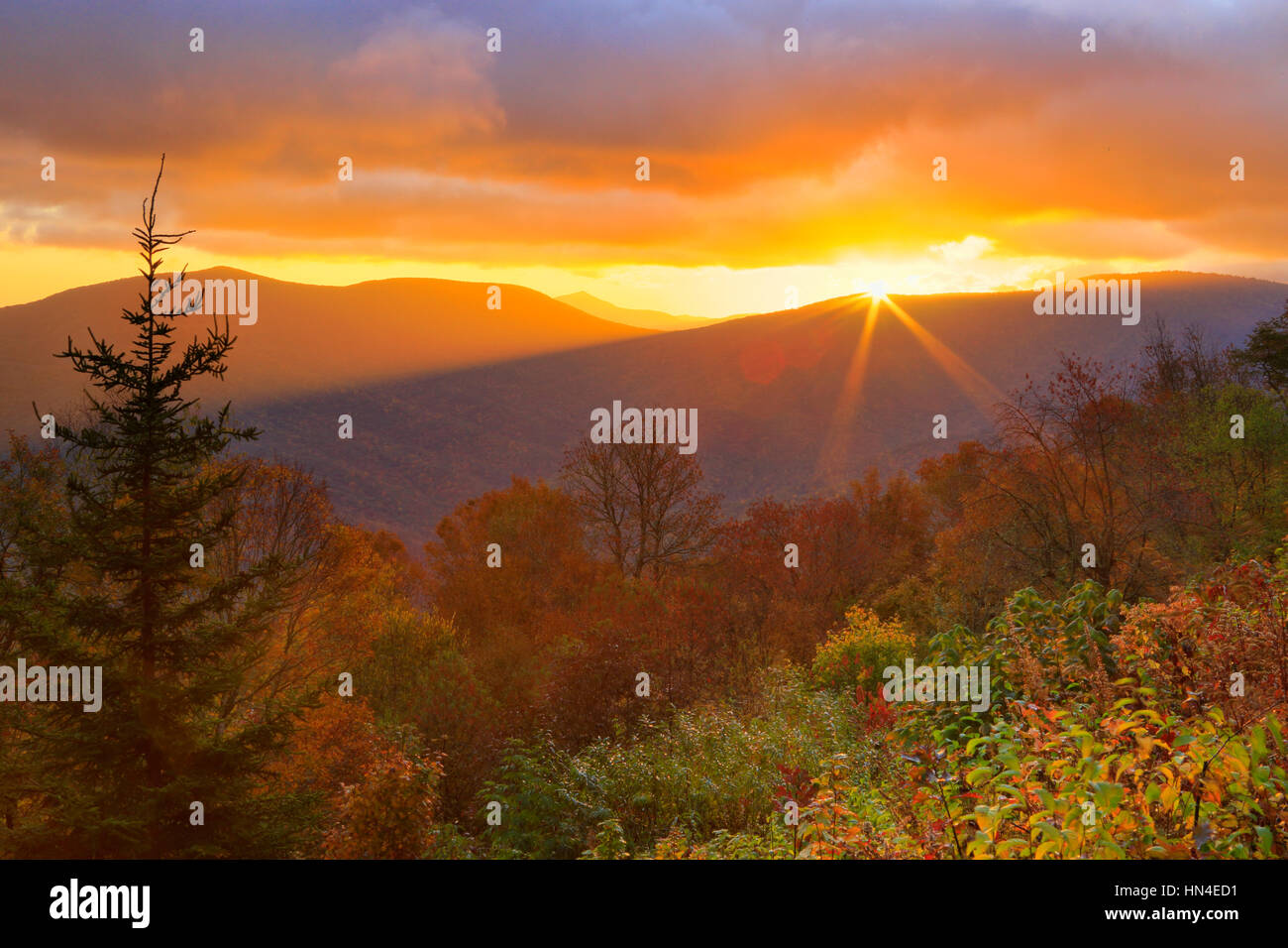 Sunrise, North of Balsum Gap, Blue Ridge Parkway, Grandfather Mountain ...
