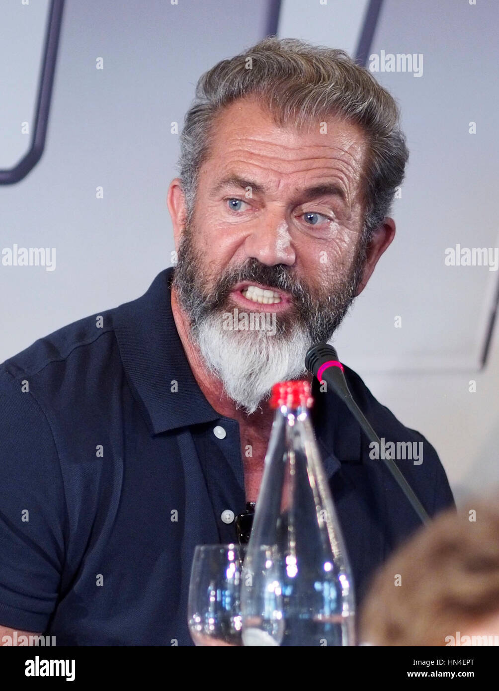 Mel Gibson Beard Expendables