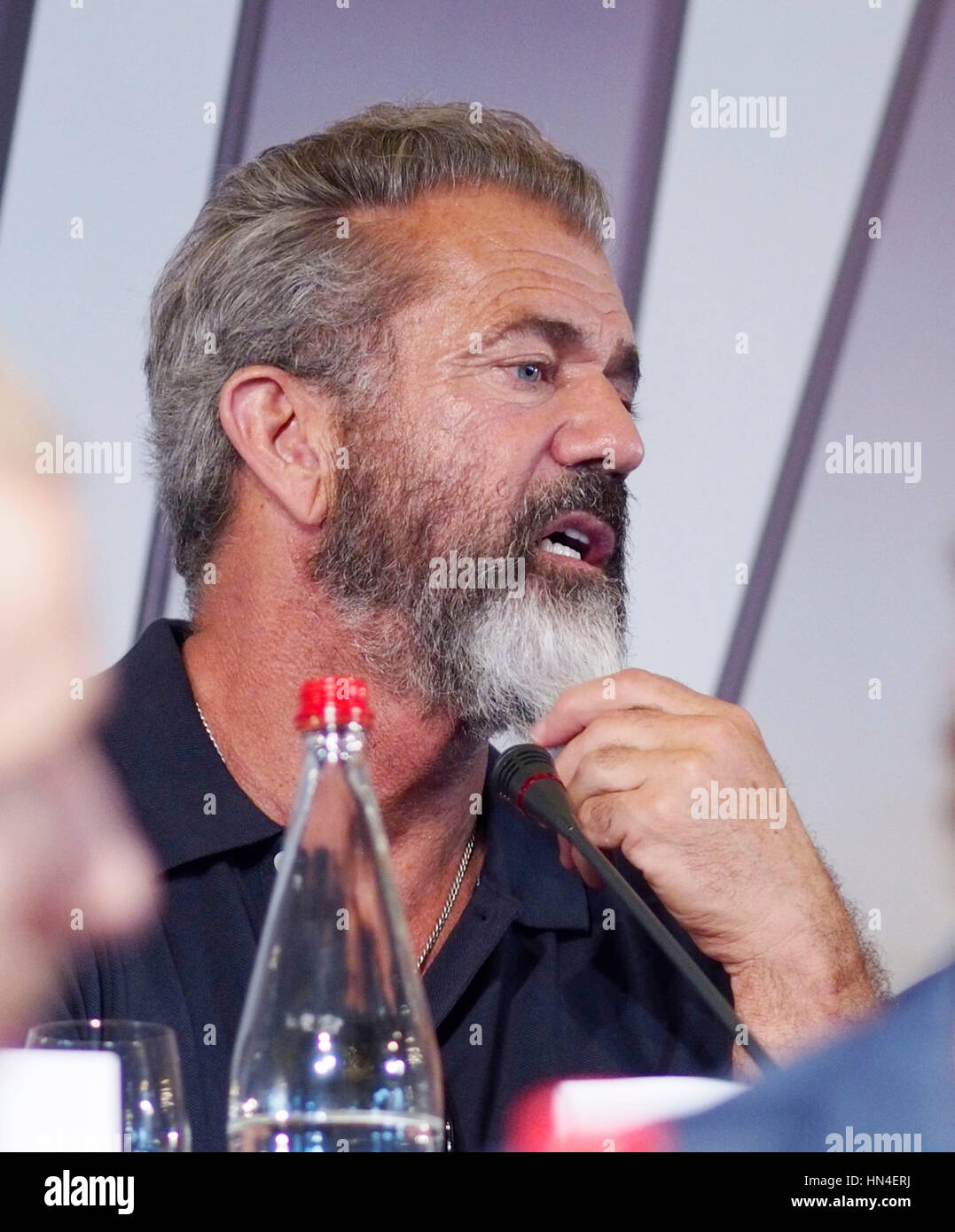 Mel Gibson Beard Expendables