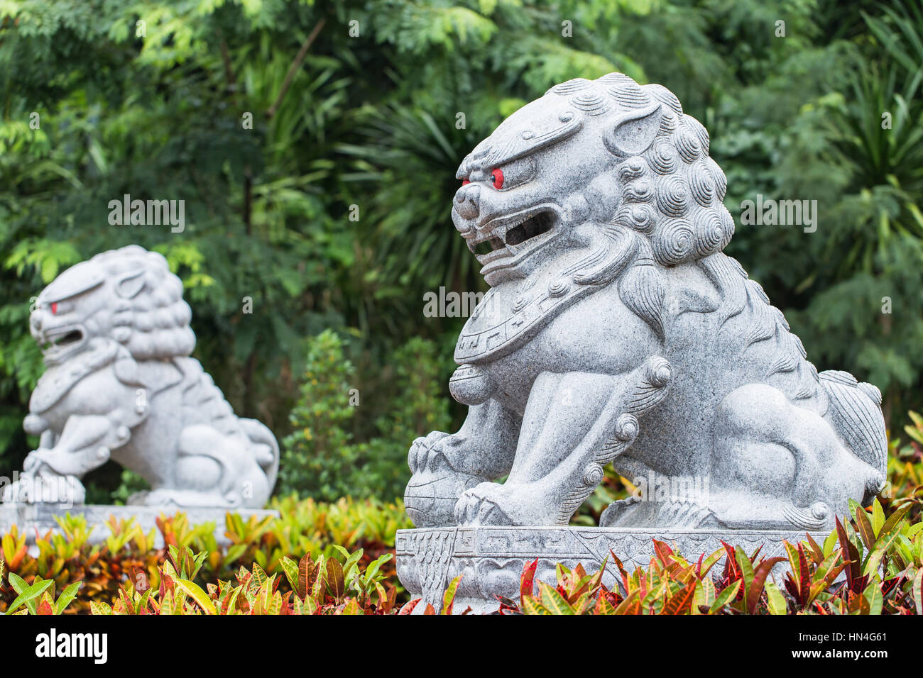 Lion stone in Chinese temple entrance Stock Photo - Alamy