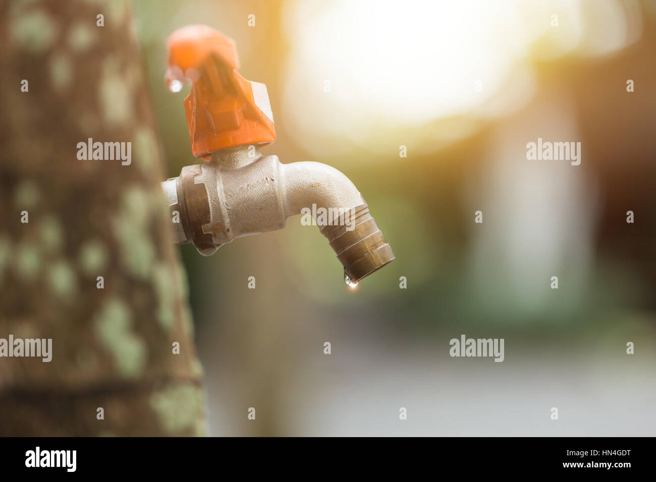 water tap in the garden morning with small drop Stock Photo - Alamy