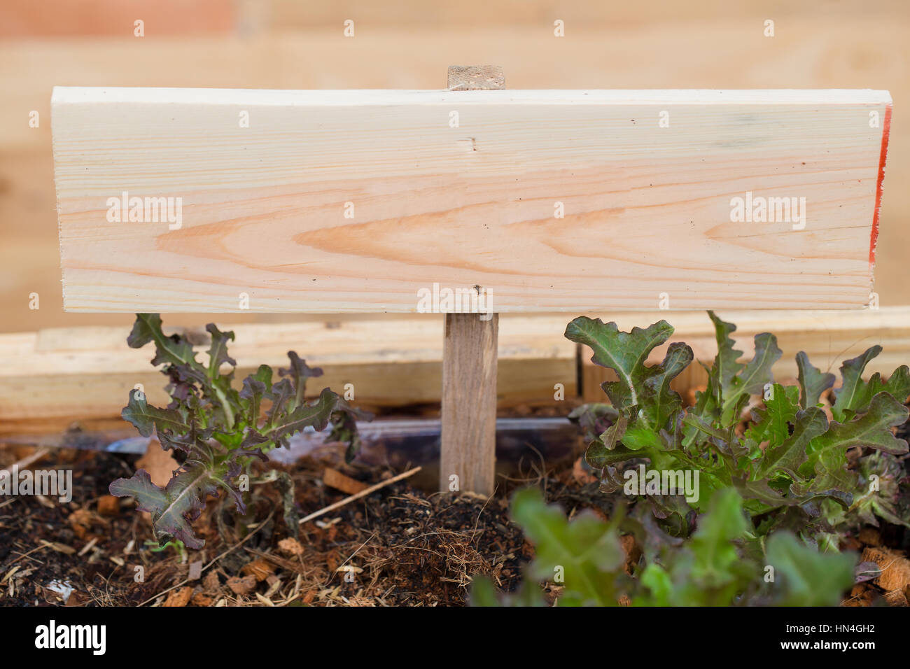 empty name board or wood banner in home garden Stock Photo - Alamy