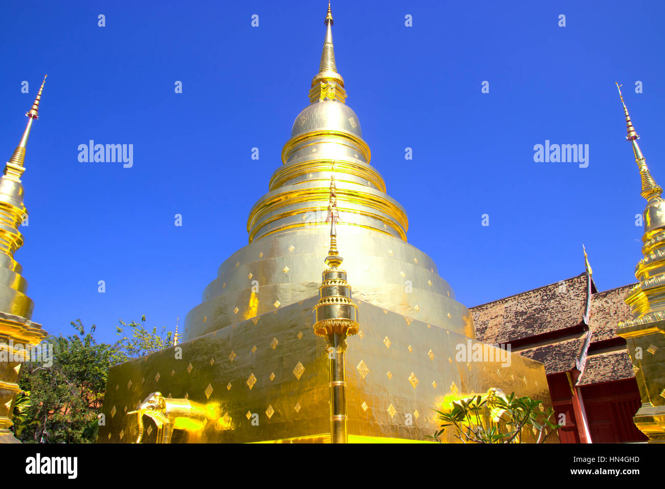 gold paper background Stock Photo - Alamy