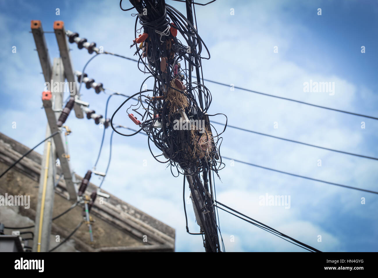 bird nest in maze cable Stock Photo - Alamy