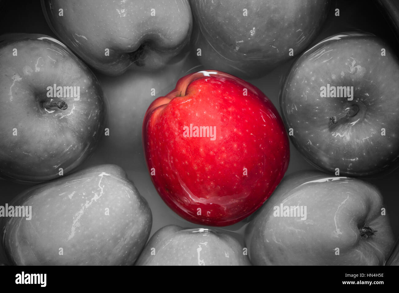 unique red apple difference color choice selective fruit concept Stock ...