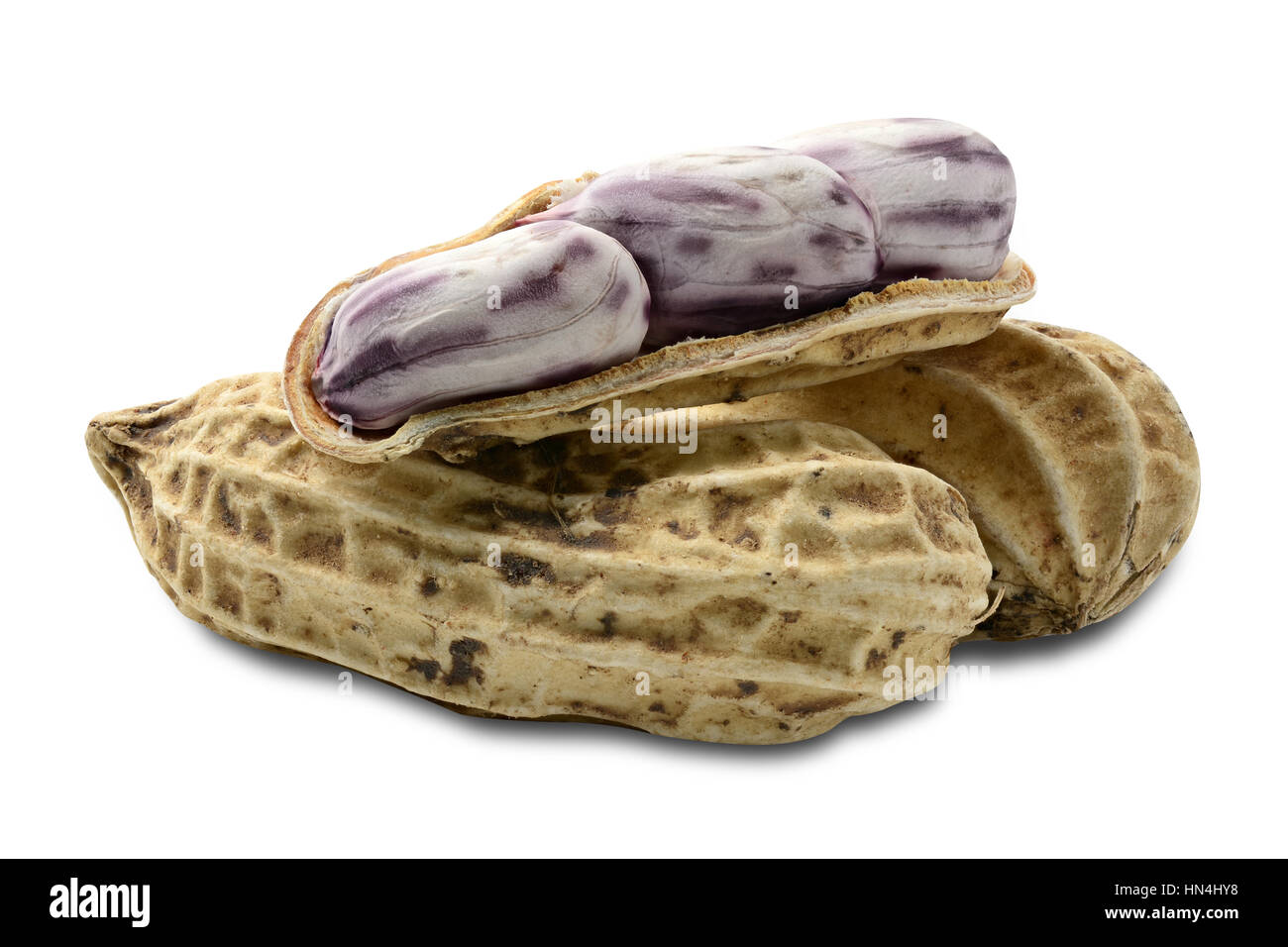 groundnut isolated on white background with clipping path Stock Photo ...