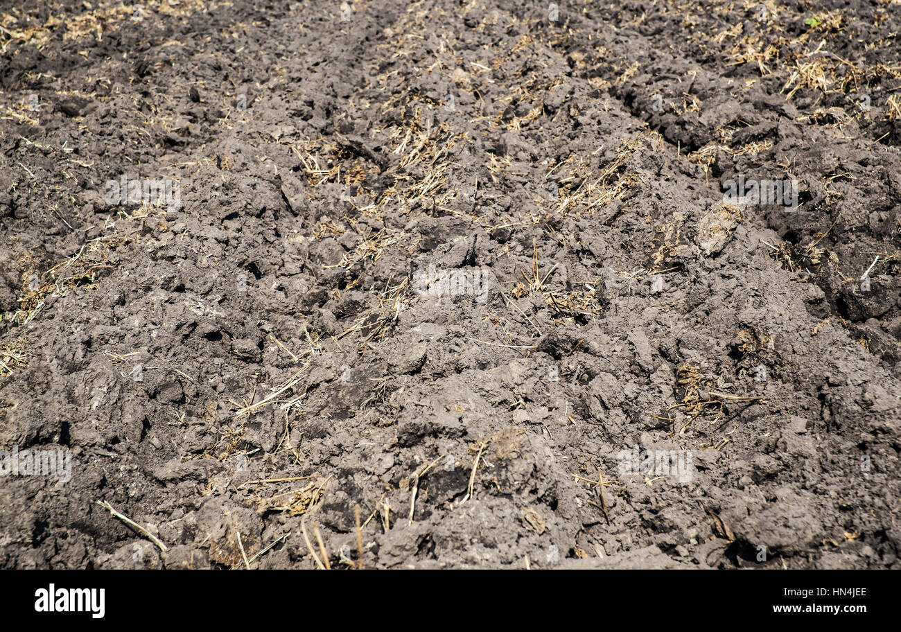 Soil prepared planting on rural hi-res stock photography and images - Alamy