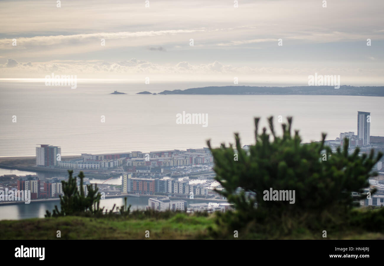 Grape and olive wales hi-res stock photography and images - Alamy