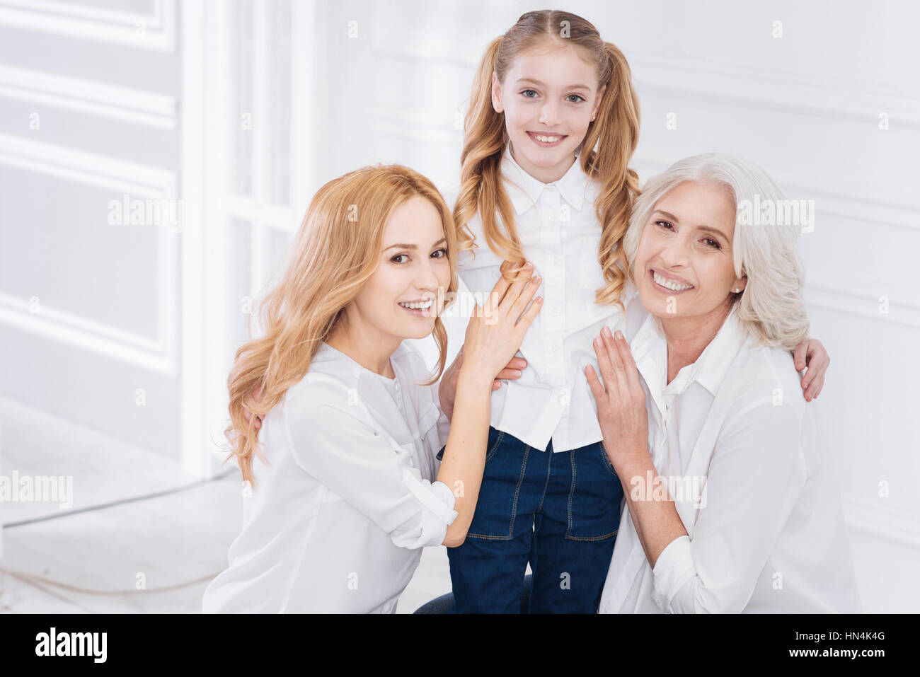 Inheritance family tree hi-res stock photography and images - Alamy