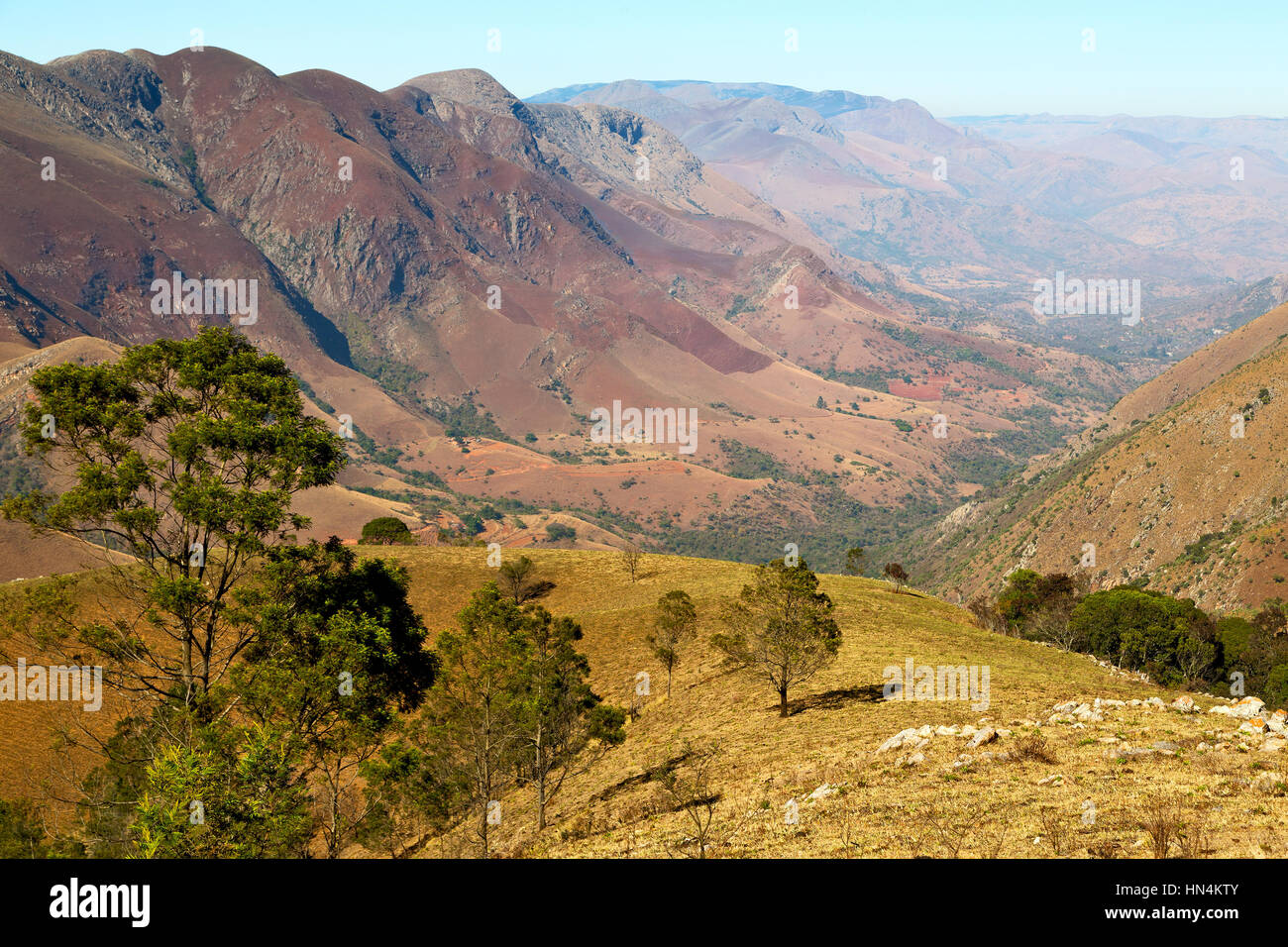 blur in swaziland mlilwane wildlife nature reserve mountain and tree ...