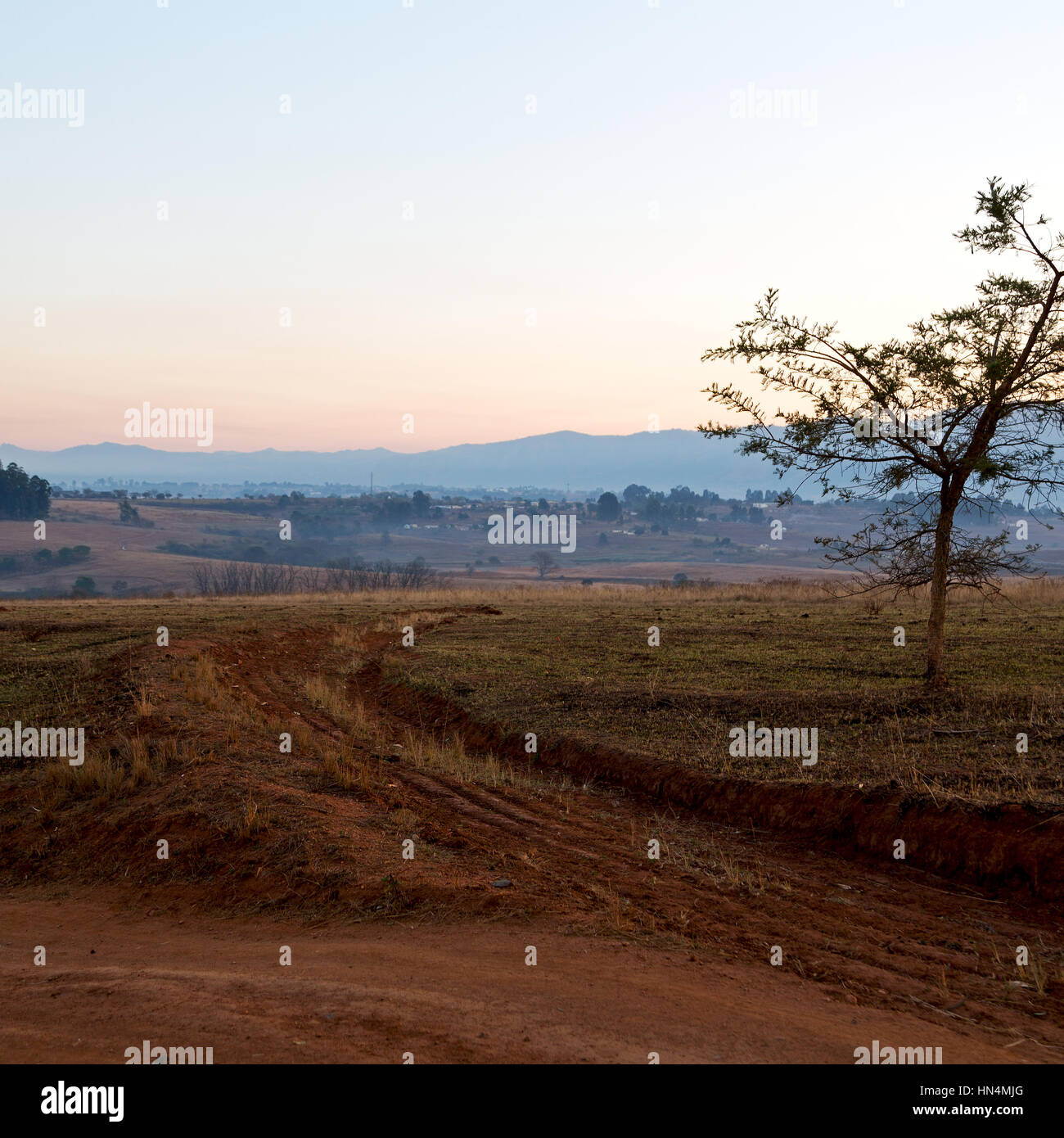 blur in swaziland mlilwane wildlife nature reserve mountain and tree ...