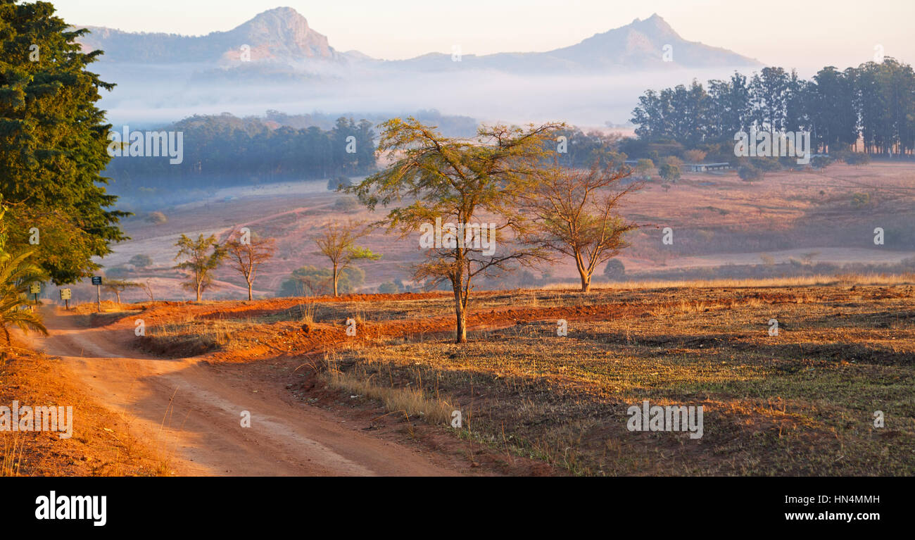 blur in swaziland mlilwane wildlife nature reserve mountain and tree ...