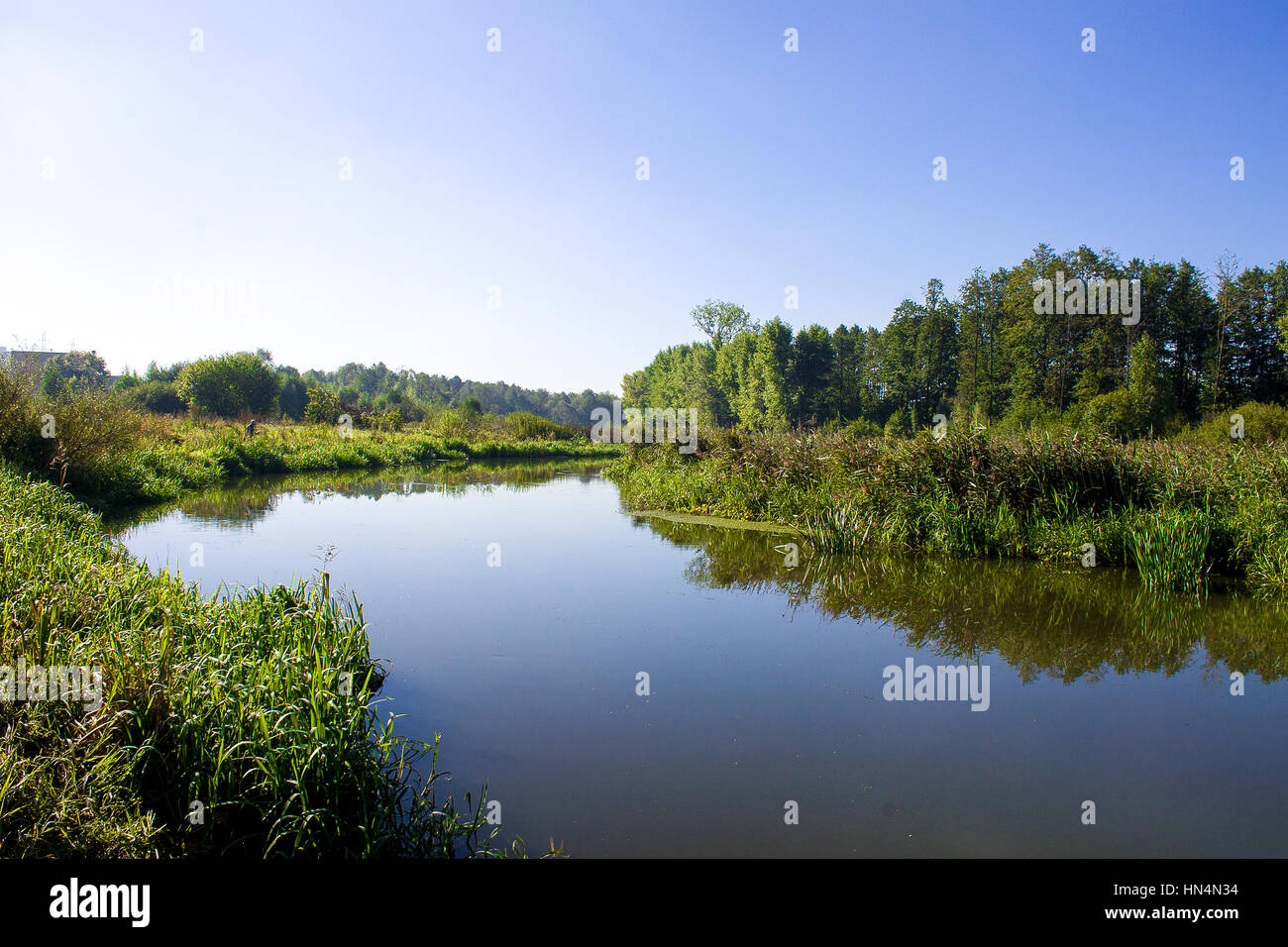 Morning landscape , bright blue river.Reflection in a pond of trees ...
