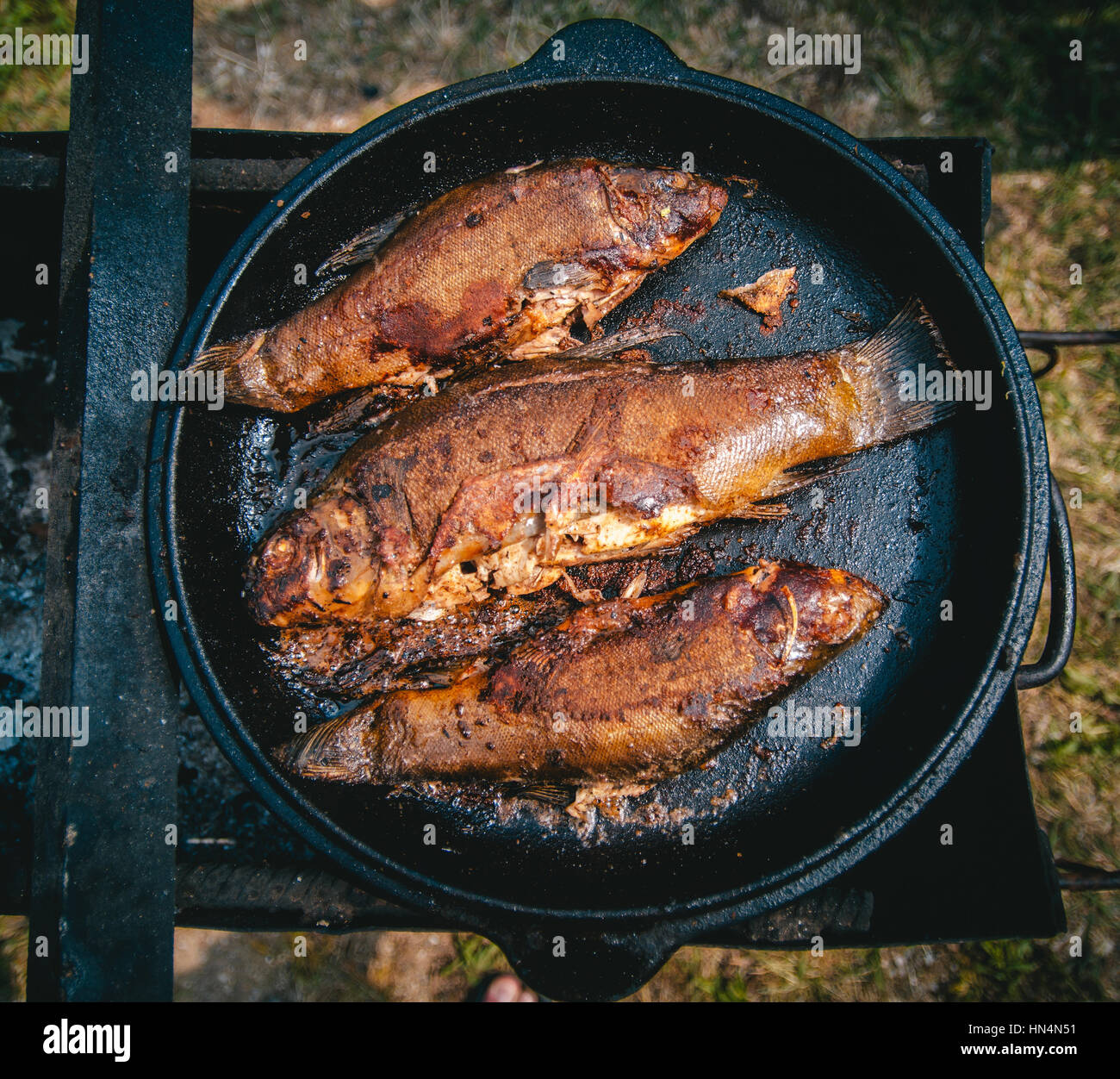 Cooking fresh fish fried BBQ with a delicious crispy golden crust in a ...