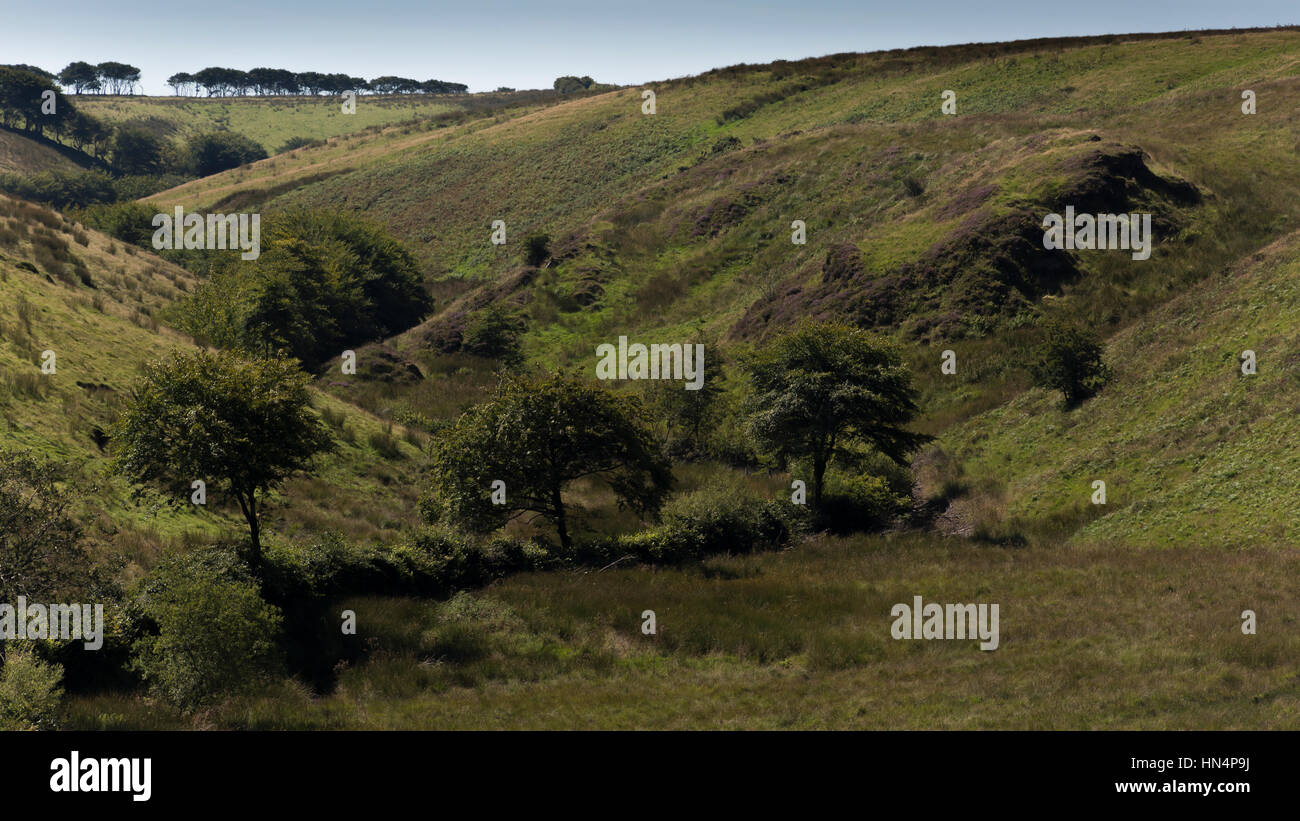 Exmoor valley landscape near Simonsbath Stock Photo - Alamy