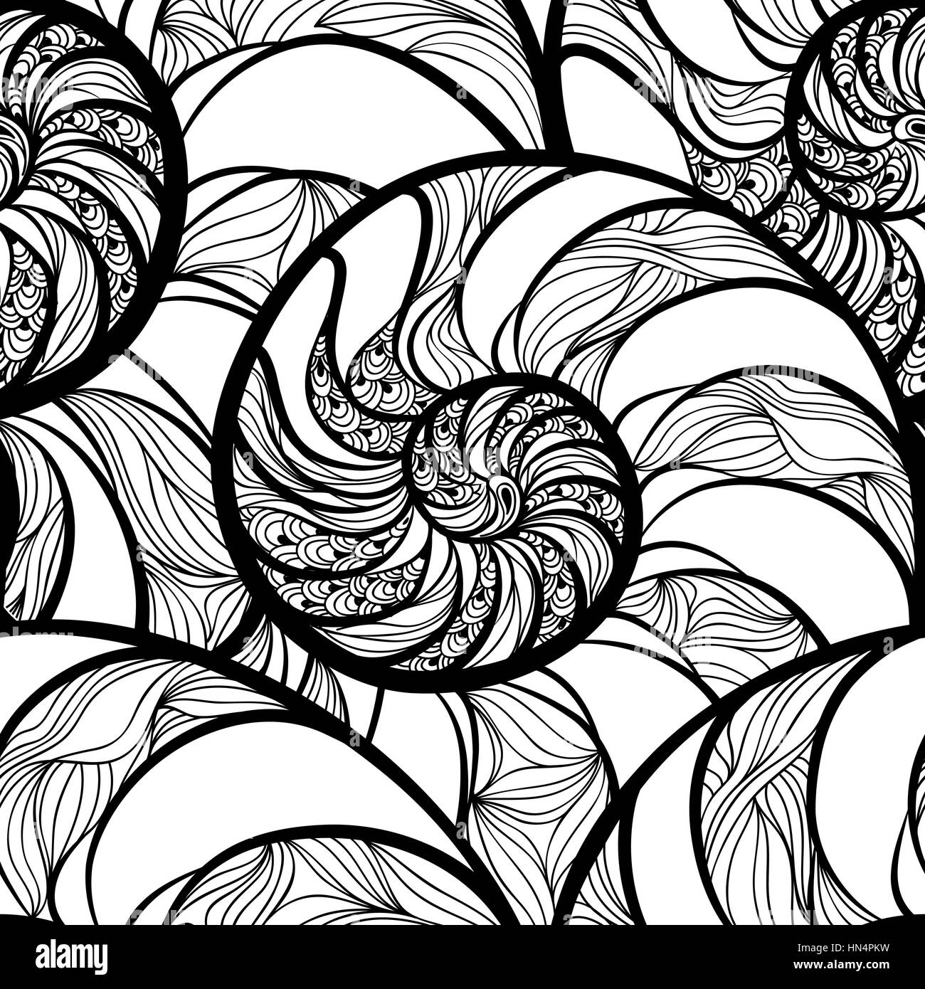 Spiral Seashell Black White High Resolution Stock Photography and ...