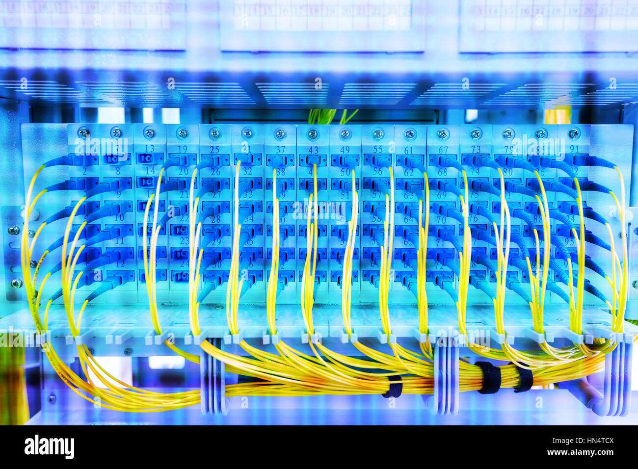 Fiber Optic cables connected to an optic ports and Network cables ...
